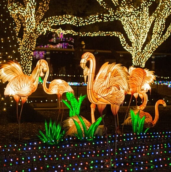 Zoo Lights at the Houston Zoo - Houston Cultural Events Calendar